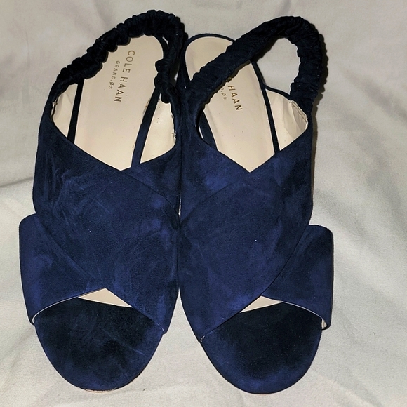 Cole Haan | Shoes | Womens Navy Suede Cole Haan Block Heels Size 8 ...